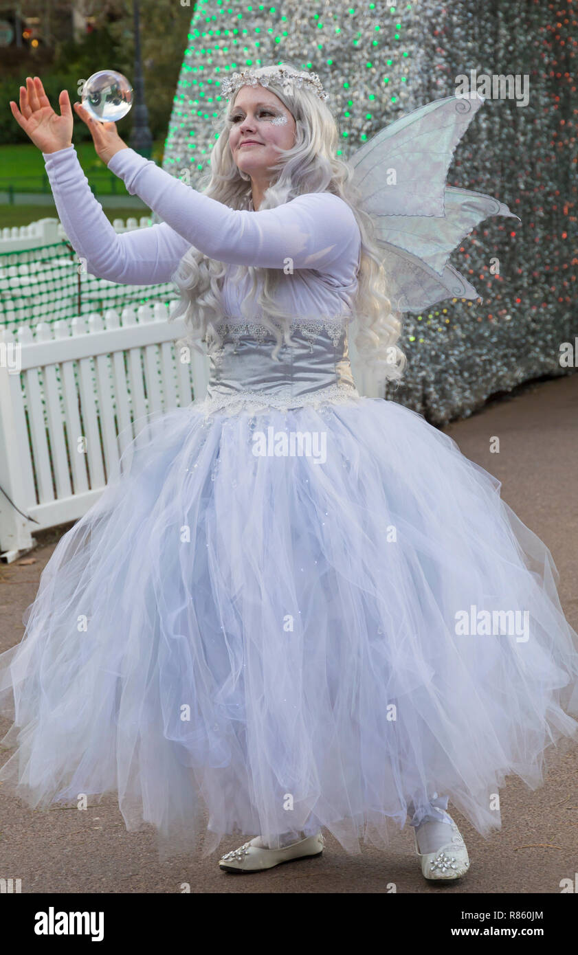 Winter Fairy Costume