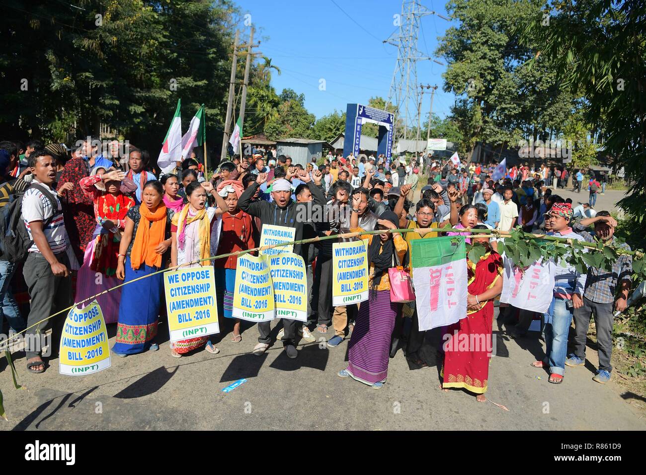 The national leaders tree hi-res stock photography and images - Alamy