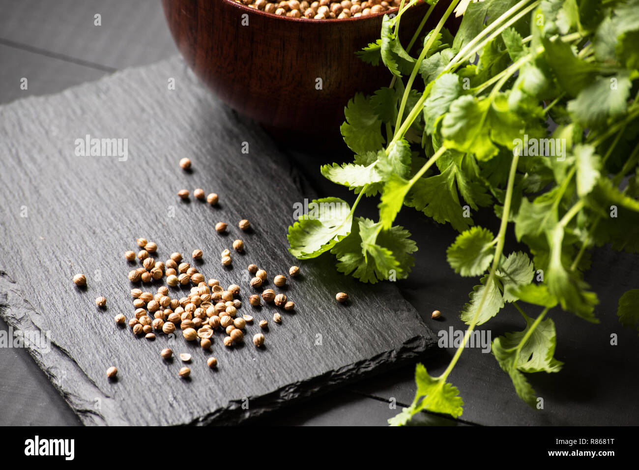 coriander cilantro seeds Stock Photo - Alamy