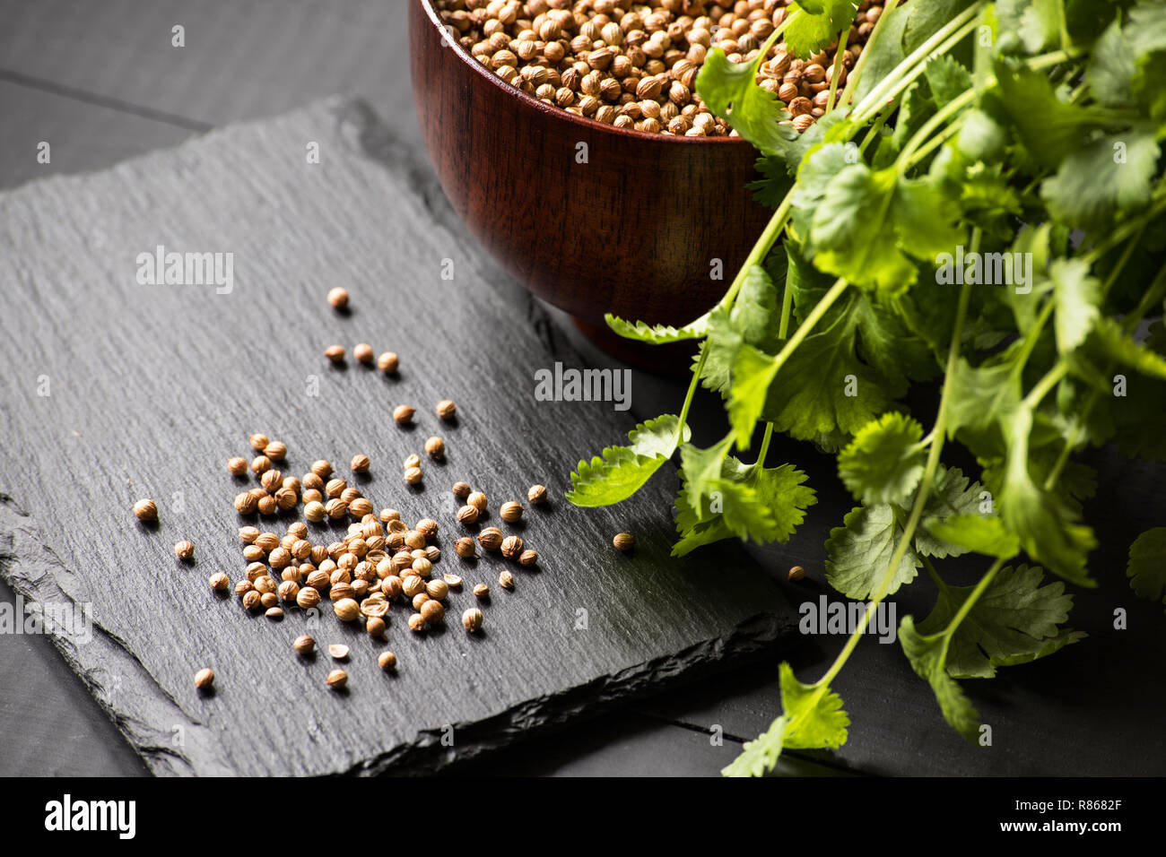 coriander cilantro seeds Stock Photo - Alamy