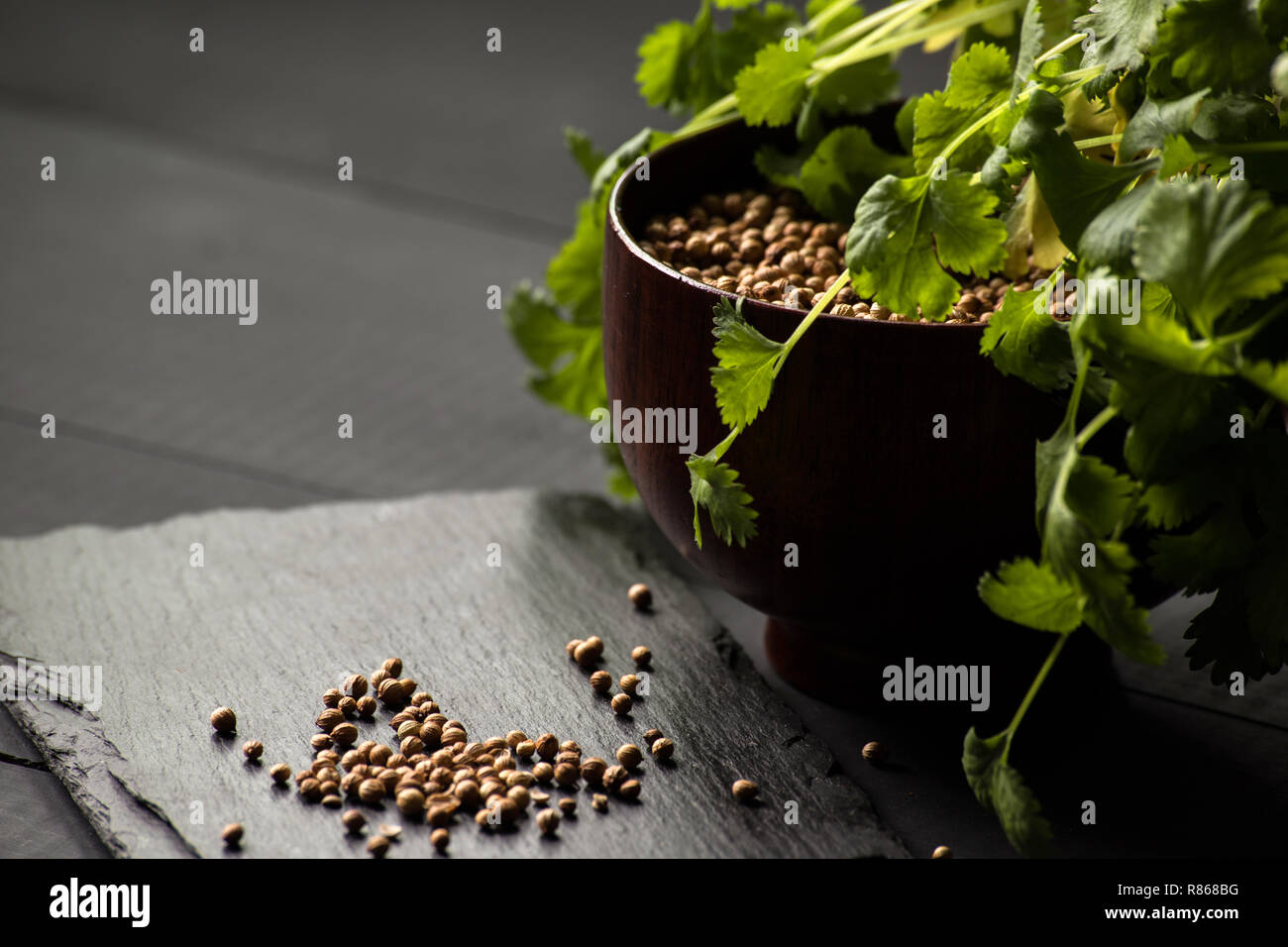 coriander cilantro seeds Stock Photo - Alamy
