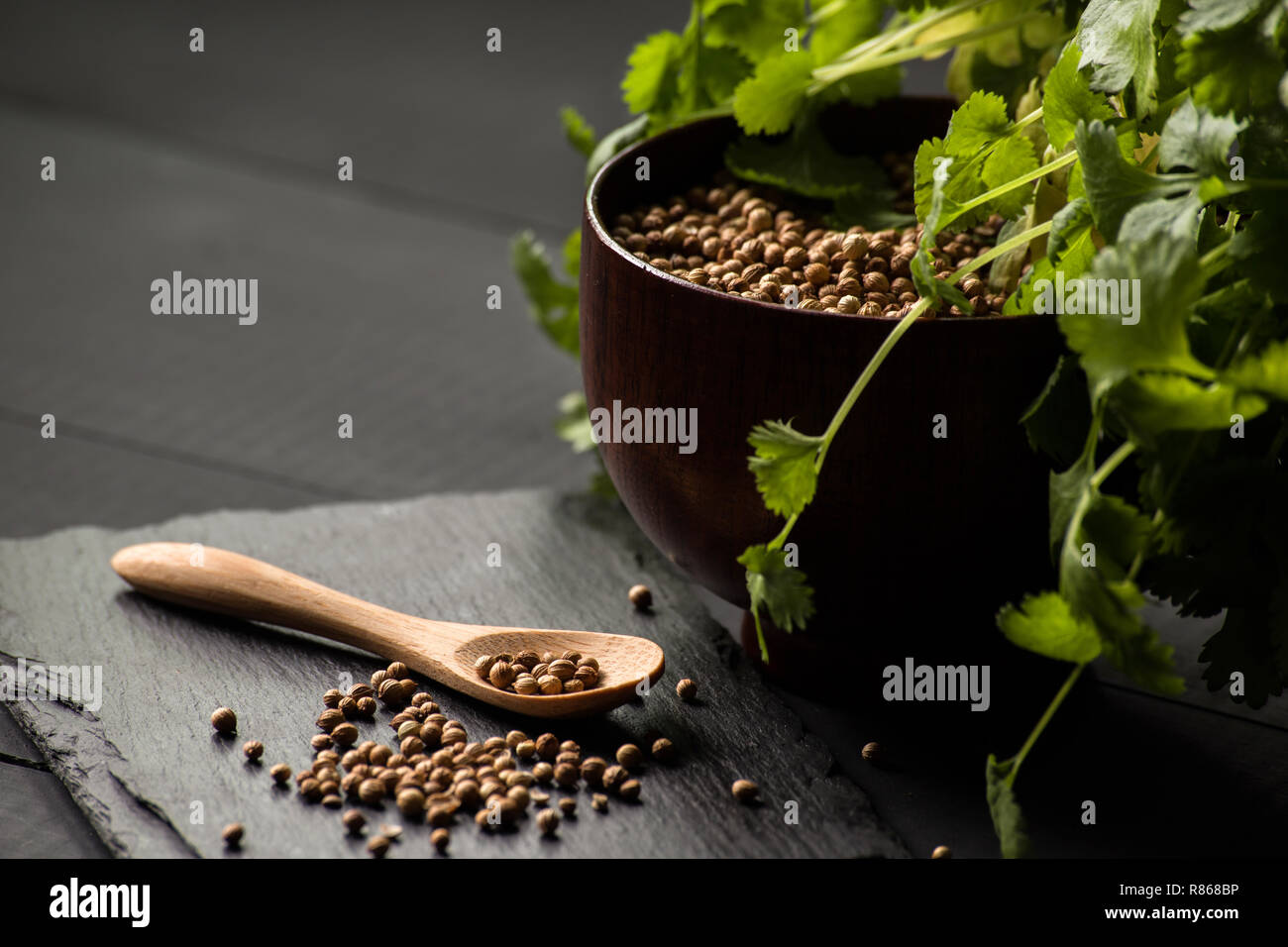 coriander cilantro seeds Stock Photo - Alamy