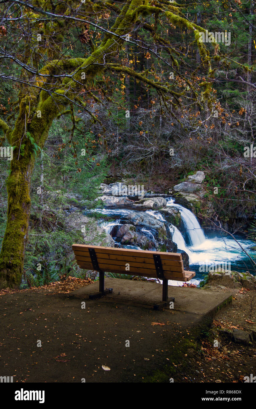Bench waterfall hi-res stock photography and images - Alamy