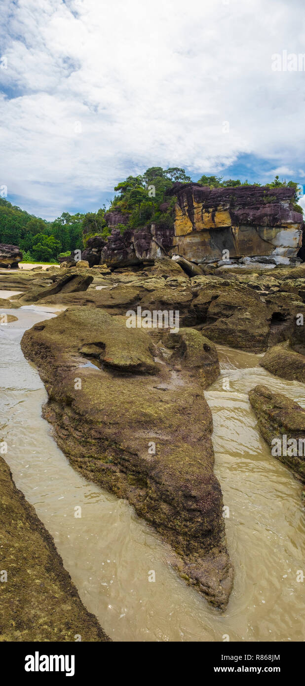 Boneo hi-res stock photography and images - Alamy