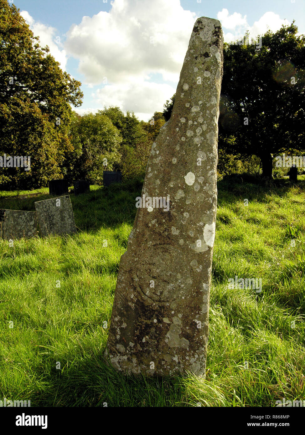 Ogham Stone. Bridell, Pembrokeshire Stock Photo - Alamy