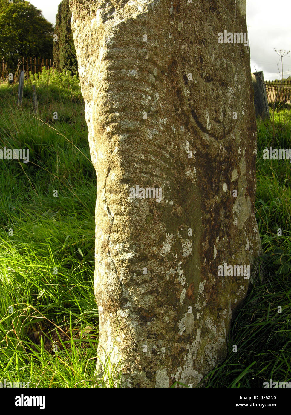 Ogham Stone. Bridell, Pembrokeshire Stock Photo - Alamy