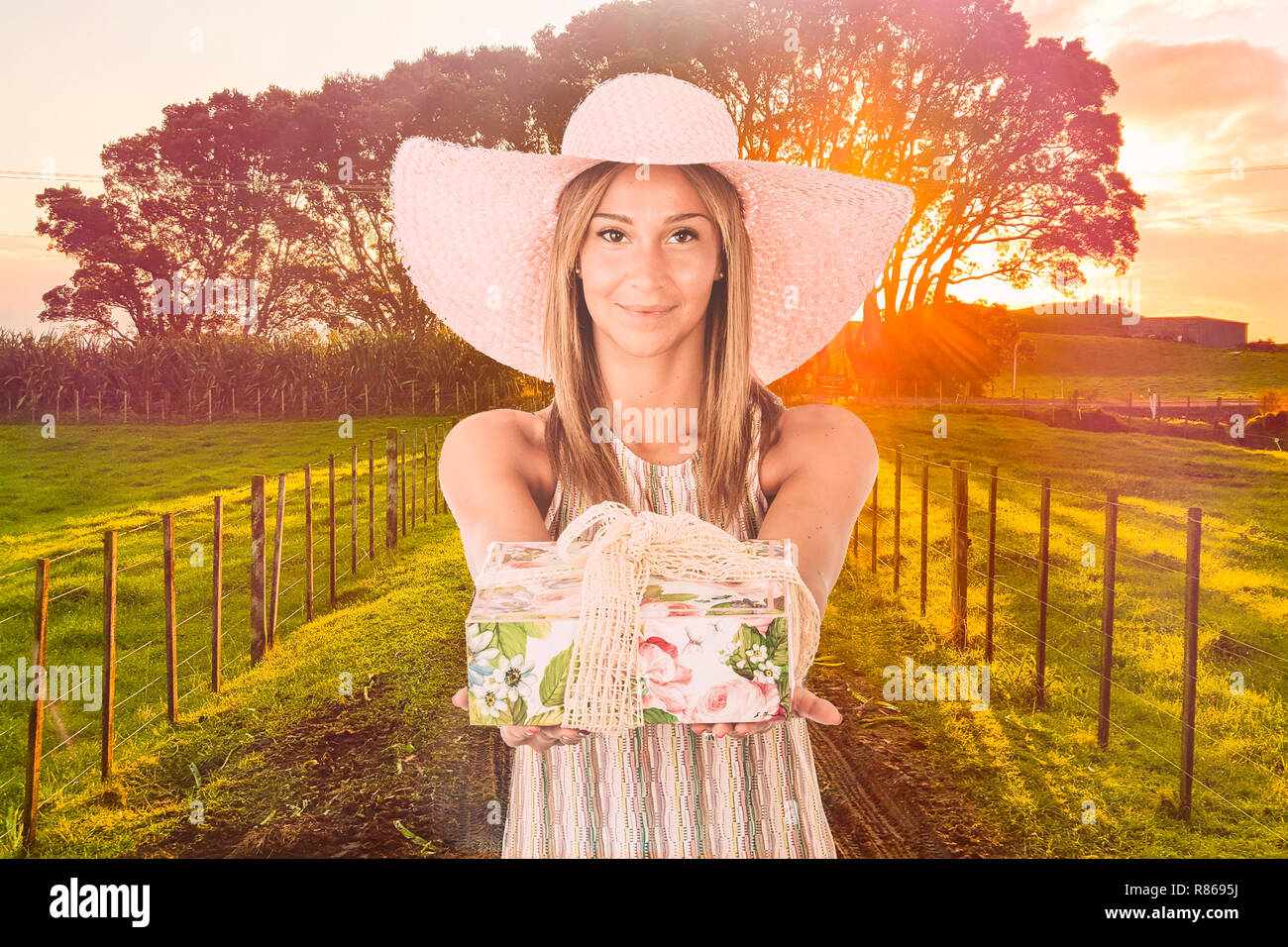 Delivery of a gift package through the hands of a woman Stock Photo - Alamy