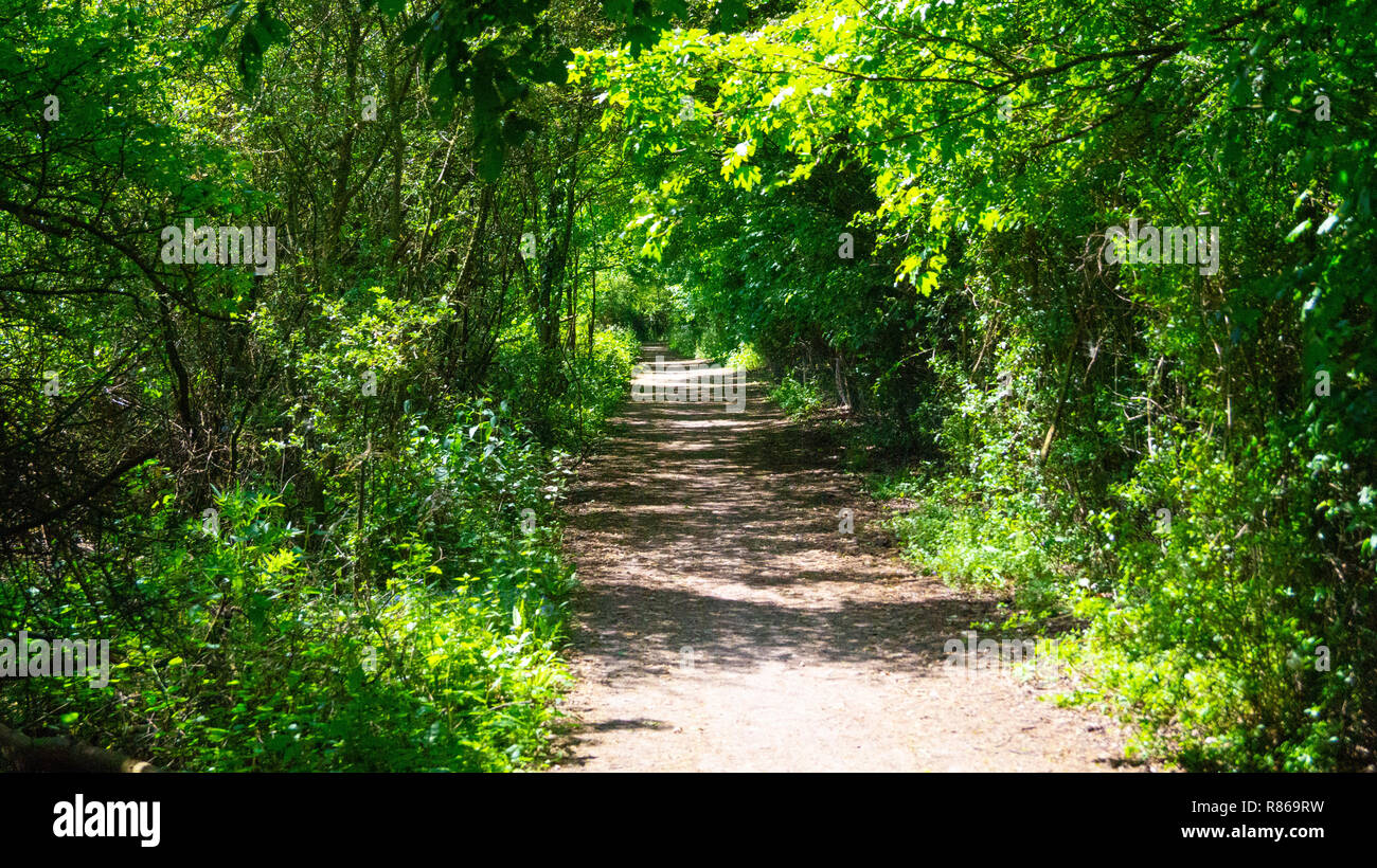 Walking Path along old railway tracks Stock Photo - Alamy