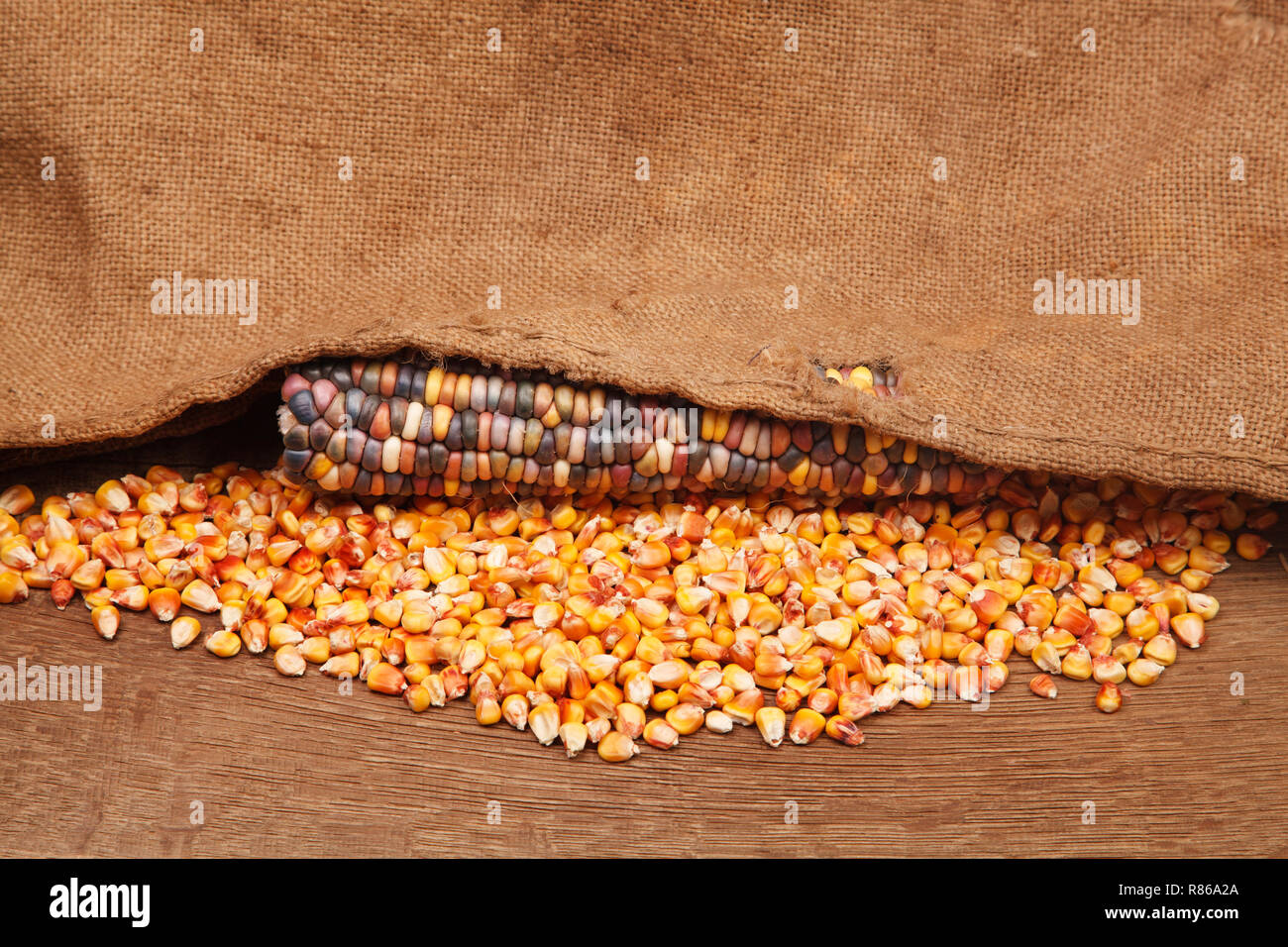 Corn on the background of wooden planks and sacking Stock Photo - Alamy