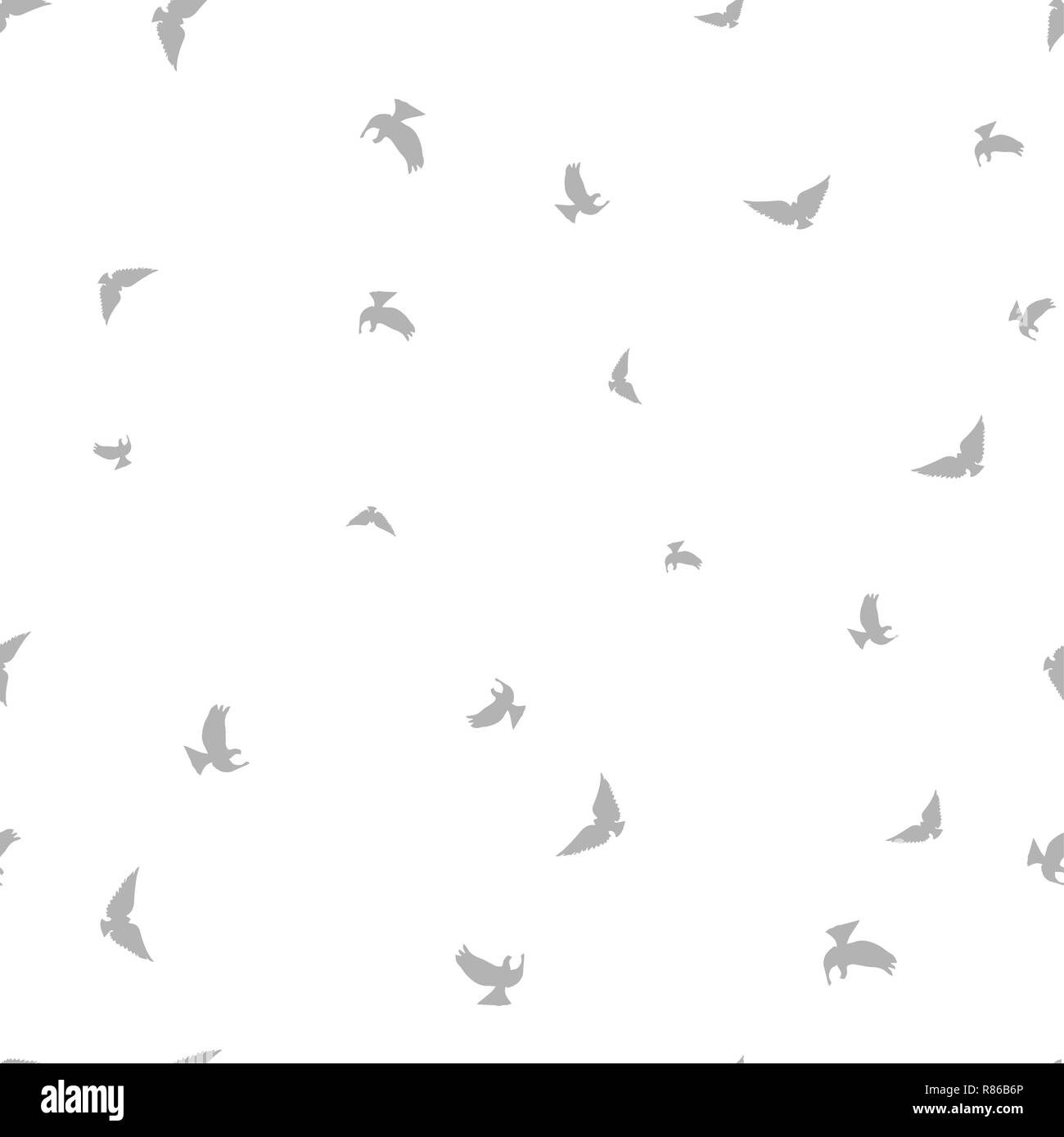 Bird seamless pattern. Gray birds on a white background. illustration ...