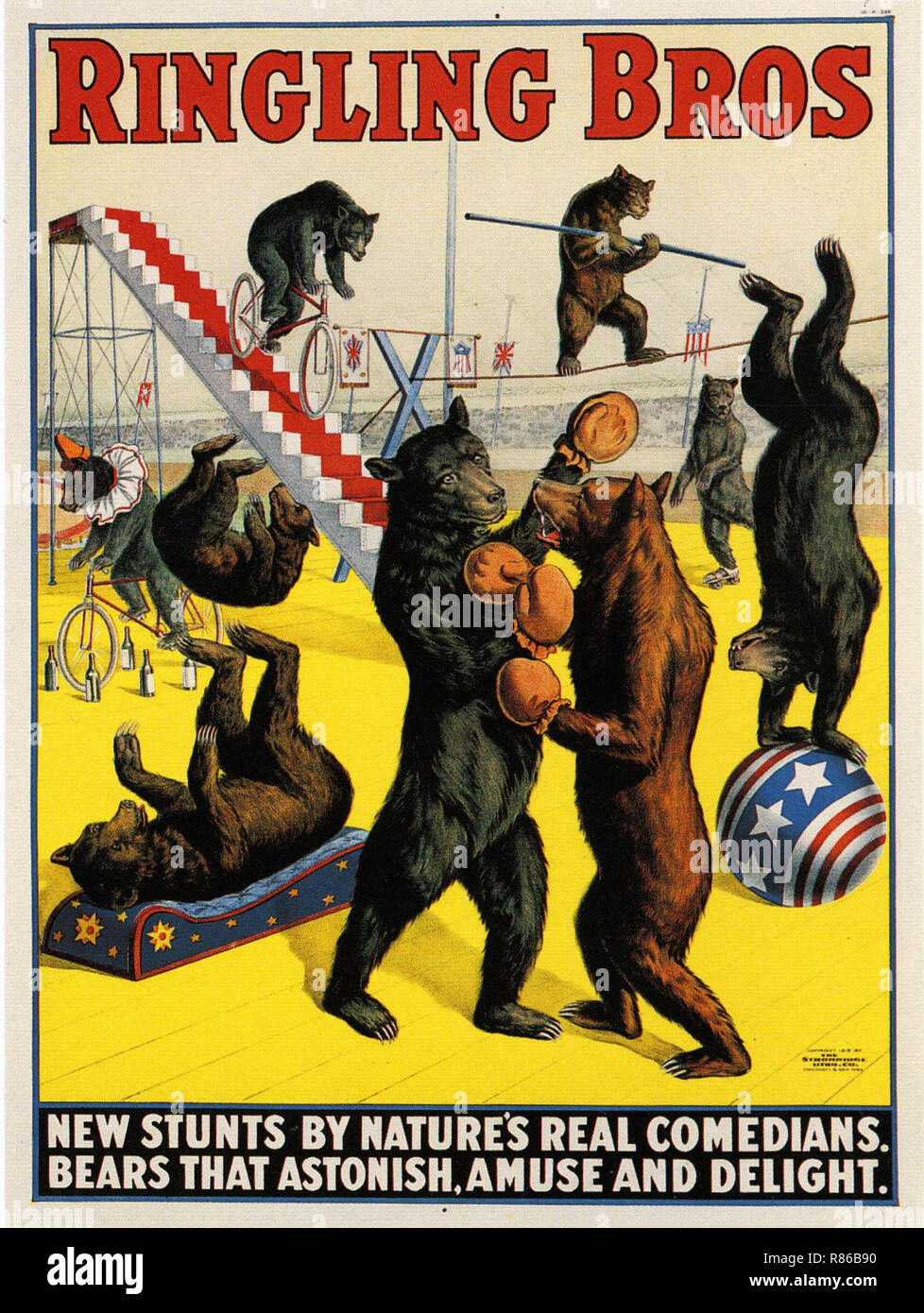 Ringling Bros Circus Boxing Bears - Vintage advertising poster Stock ...