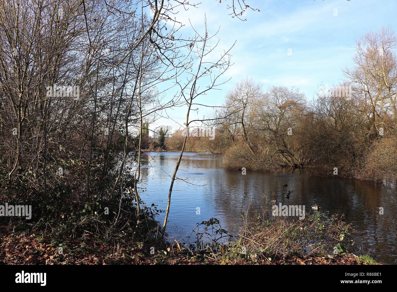 Little Britain lake Stock Photo - Alamy