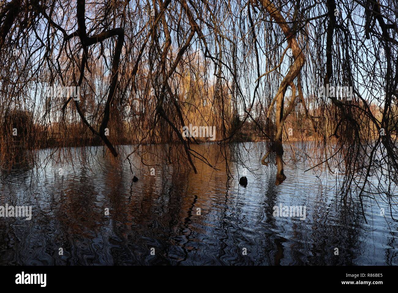 Little Britain lake Stock Photo - Alamy