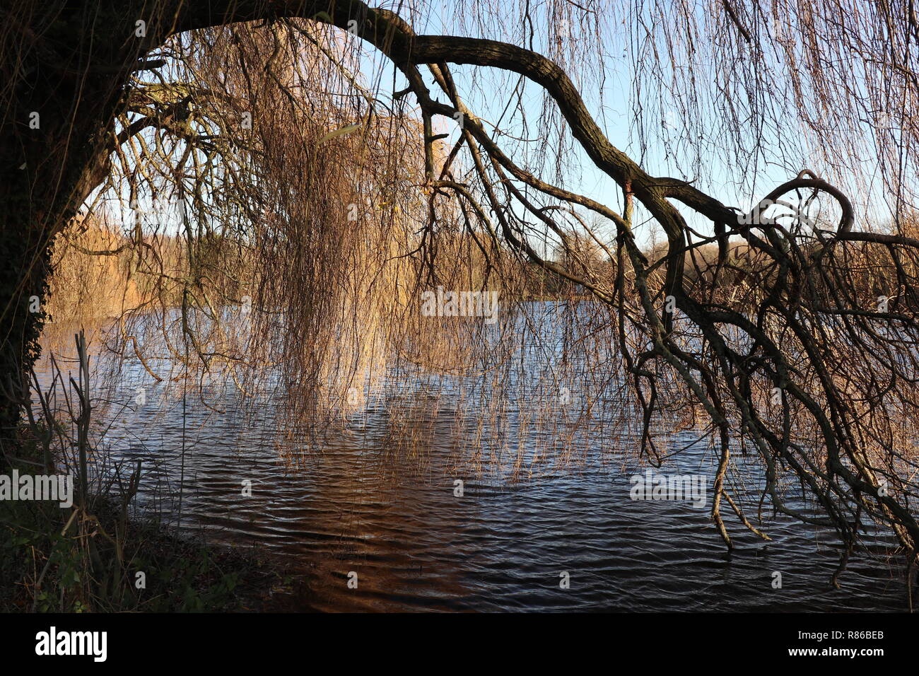 Little Britain lake Stock Photo - Alamy