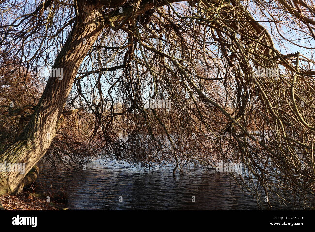 Little Britain lake Stock Photo - Alamy