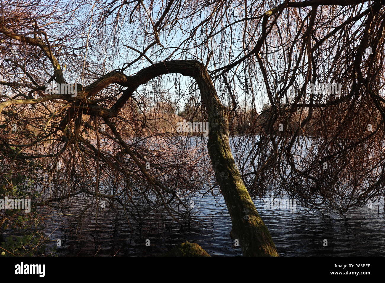 Little Britain lake Stock Photo - Alamy