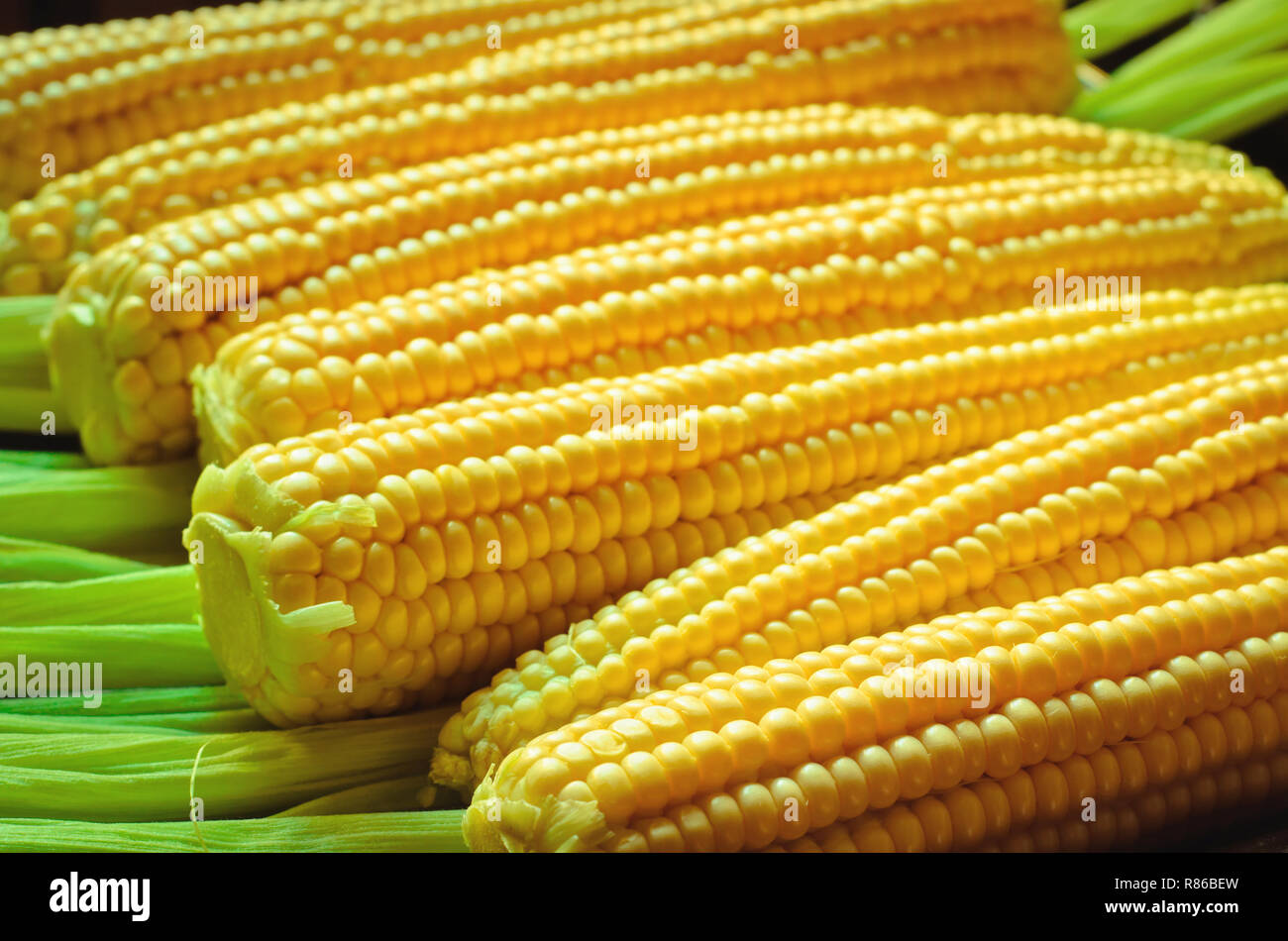 a lot of yellow corns as a background Stock Photo - Alamy