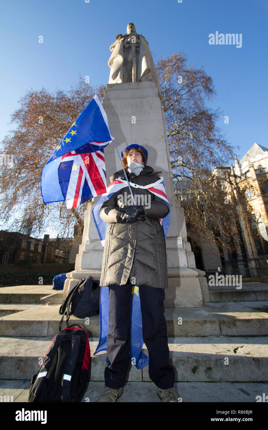 pro european anti brexit protestors next to statue of George the fifth ...