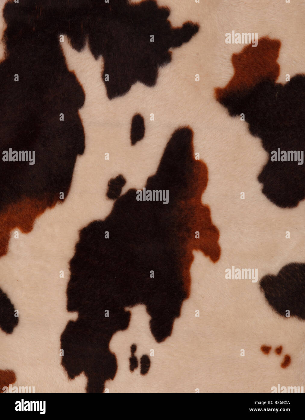 cow texture background Stock Photo - Alamy