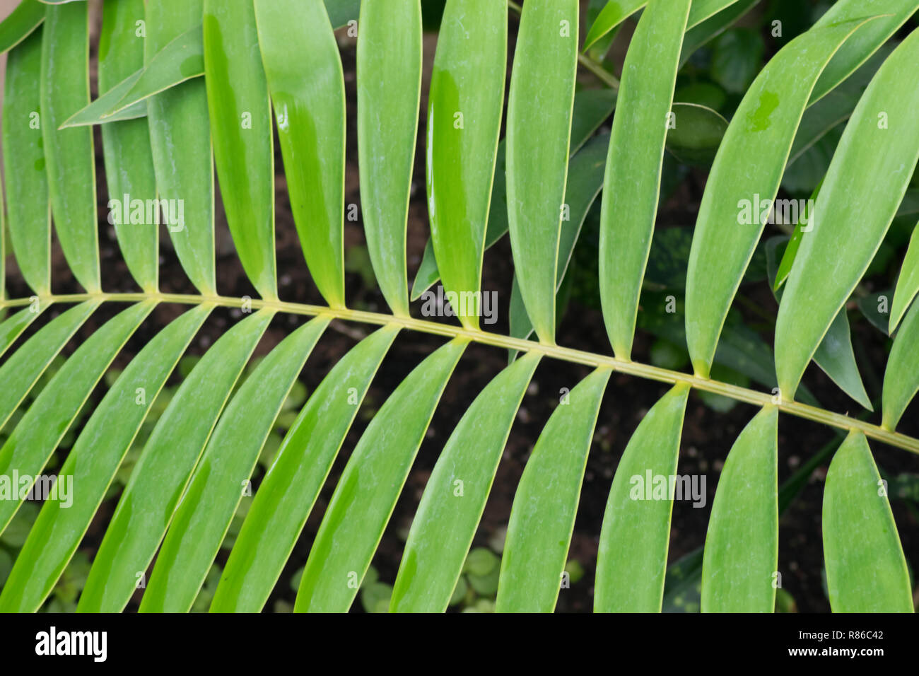 Interesting shapes and patterns hi-res stock photography and images - Alamy