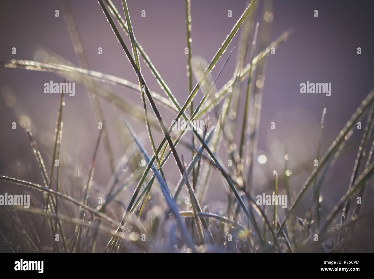 Rime glace hi-res stock photography and images - Alamy