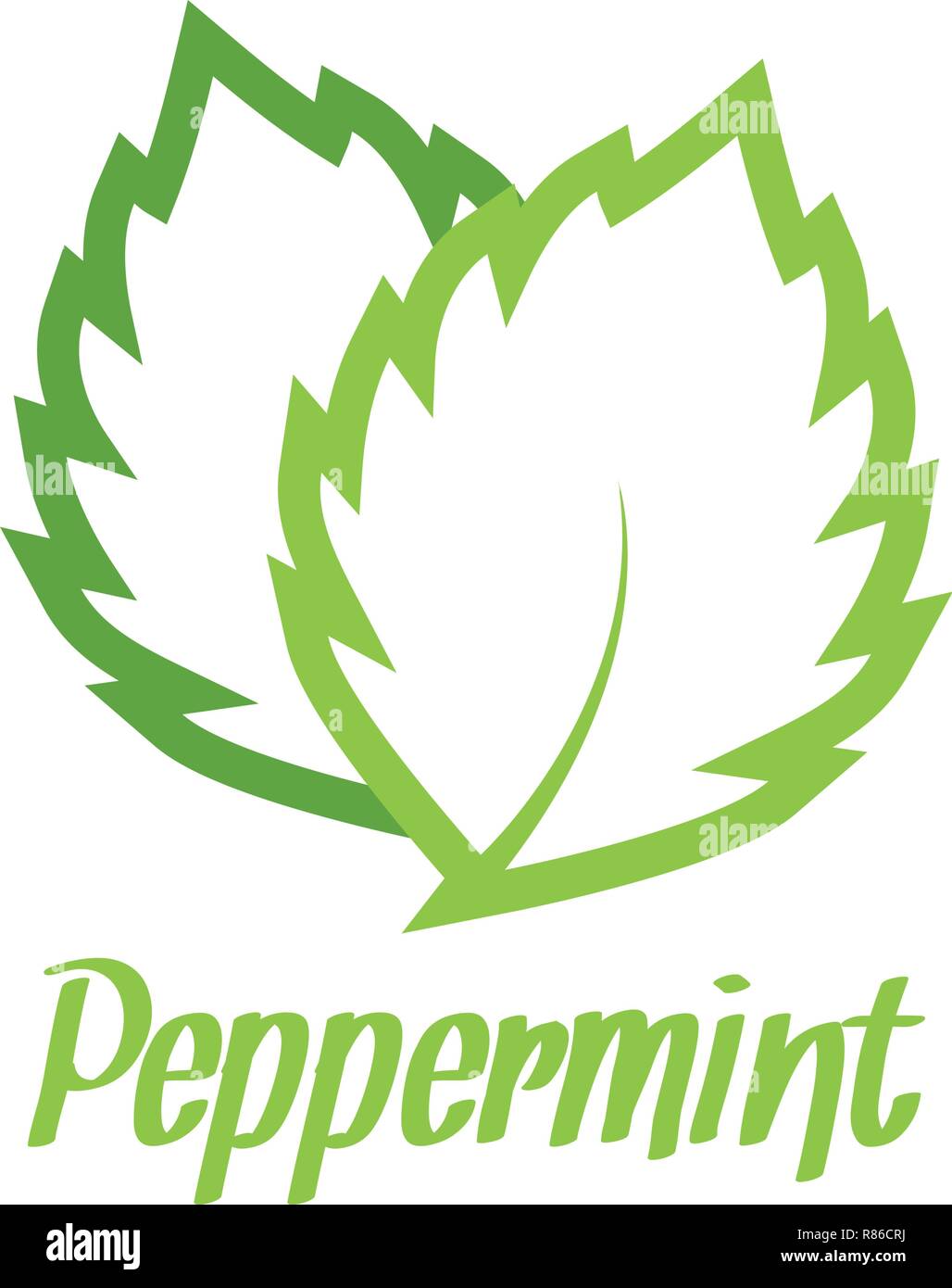 Peppermint Stock Vector Images - Alamy