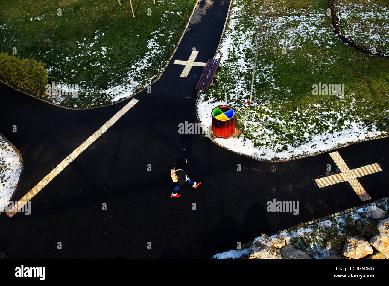Park alley seen from the suspension bridge in Drumul Taberei Park ...