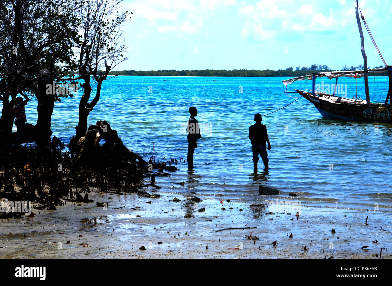 Island of pemba hi-res stock photography and images - Alamy