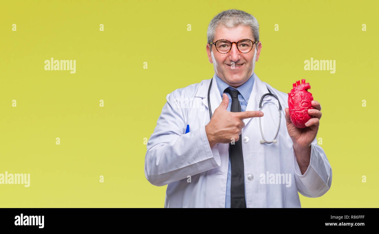 Handsome senior cardiologist doctor man holding heart over isolated ...