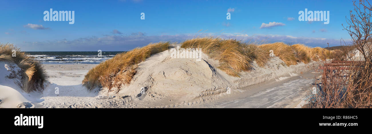 Island of Hiddensee, off the Baltic coast of Northern Germany ...