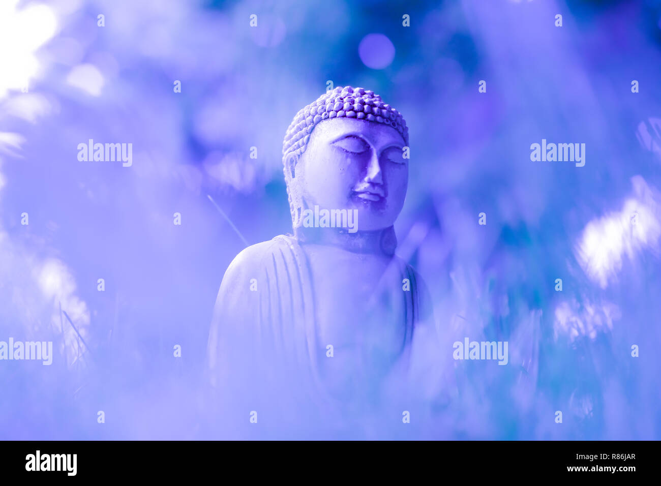 Religious harmony hi-res stock photography and images - Alamy