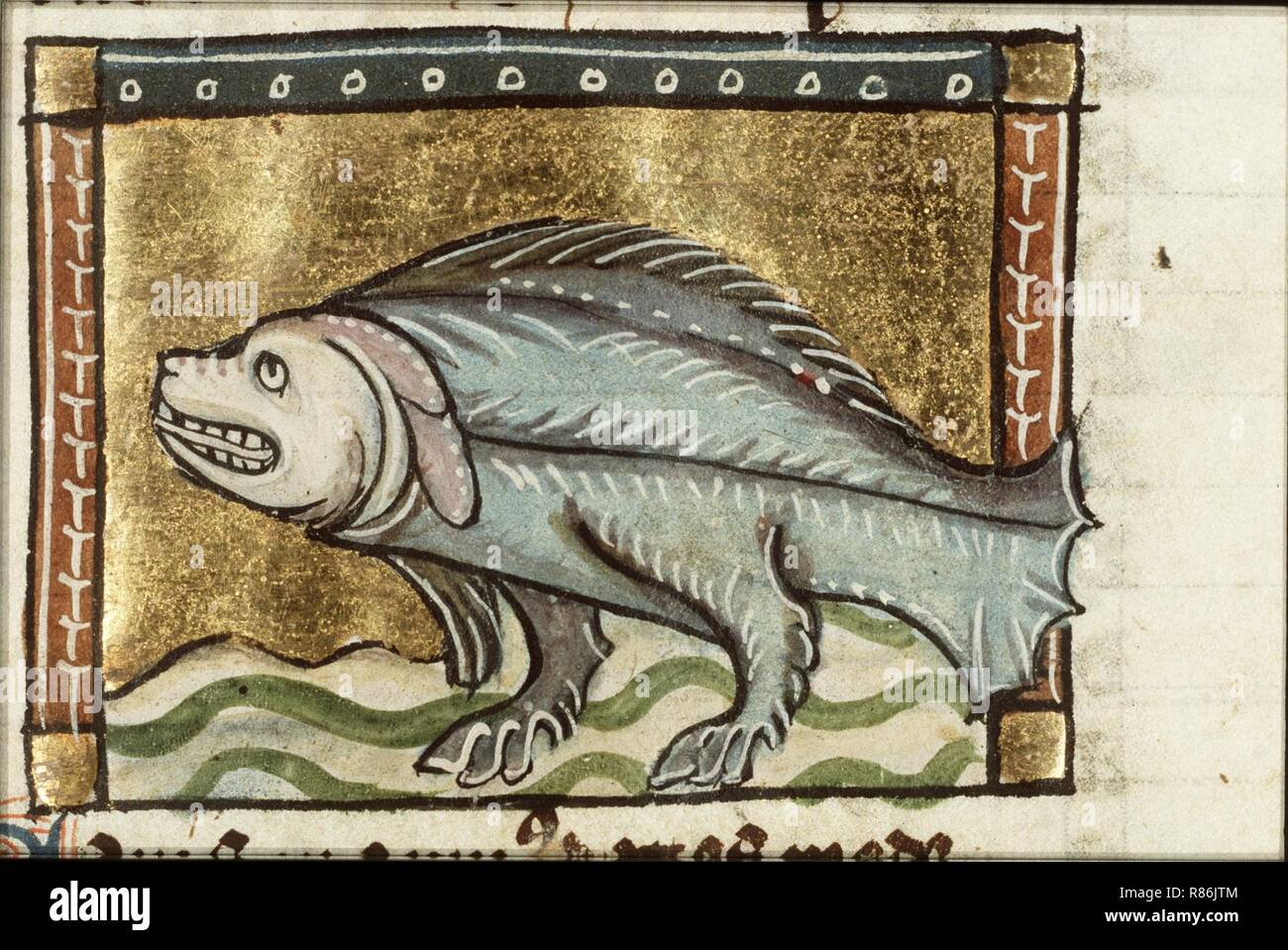 Canis marinus (seal) - Der naturen bloeme - Jacob van Maerlant - KB KA ...