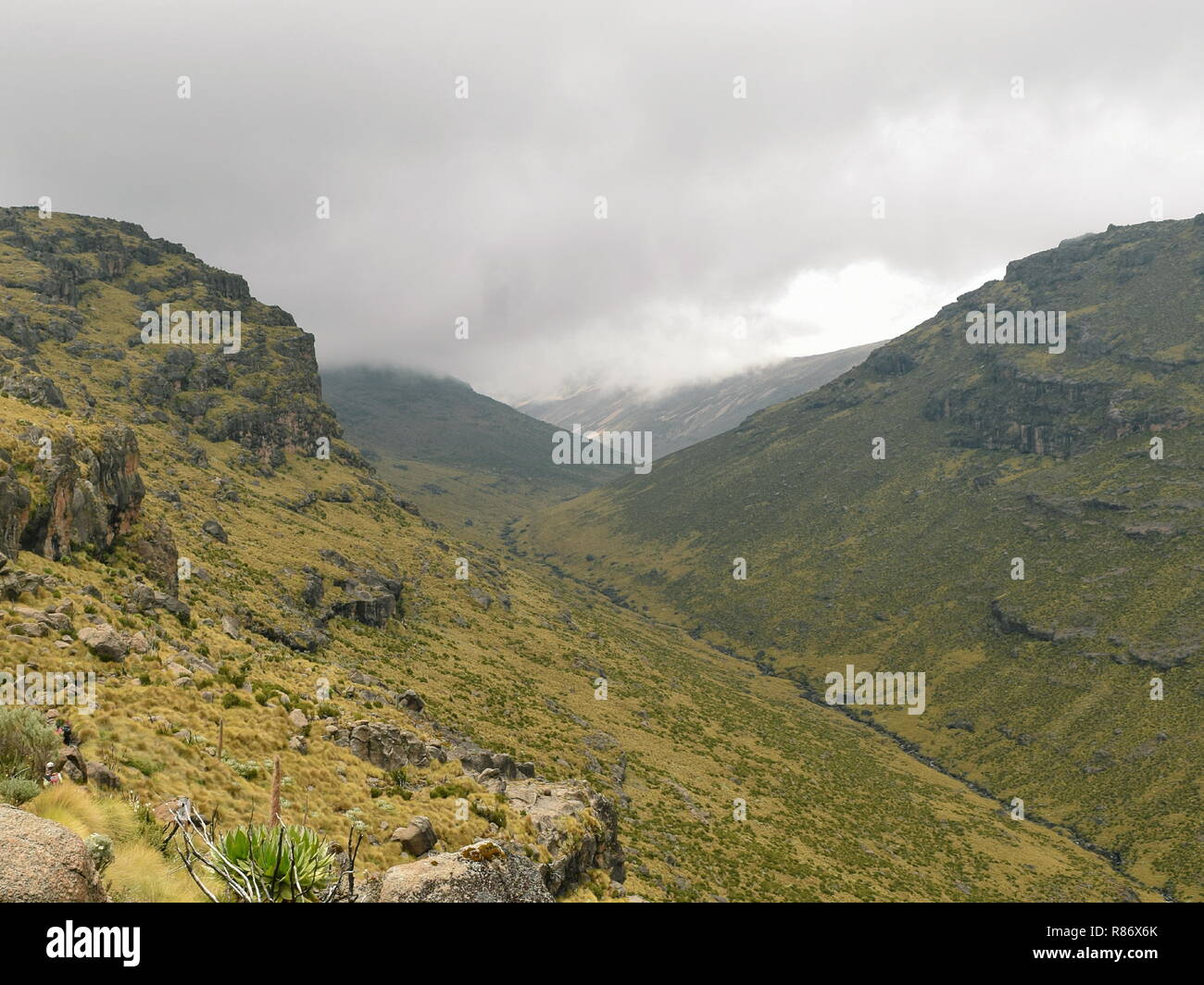 The Mackinder's Valley in Mount Kenya, Kenya Stock Photo - Alamy