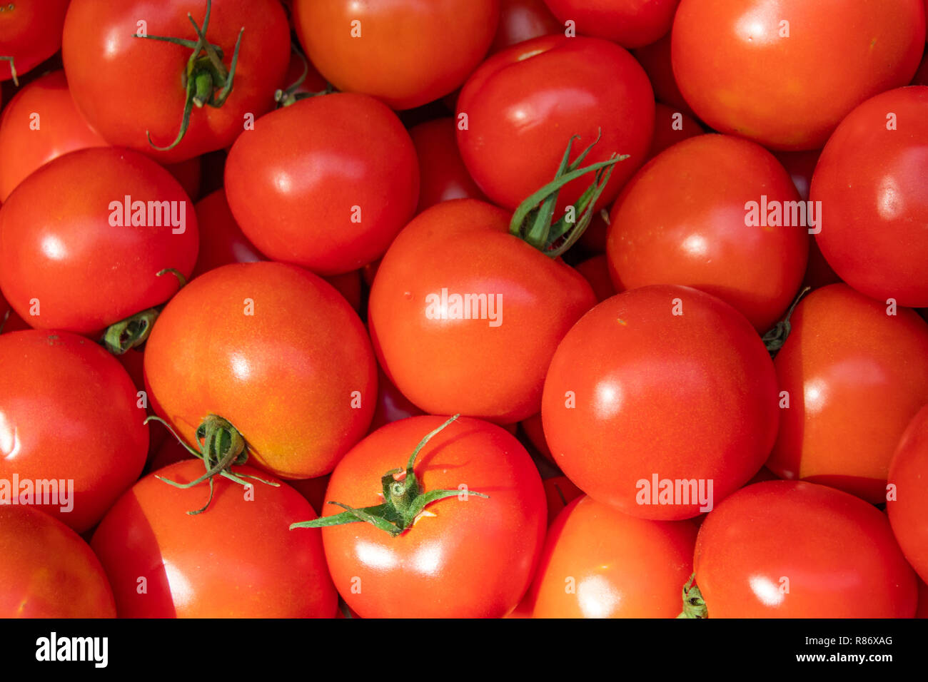Pile of fresh red tomatoes Stock Photo - Alamy