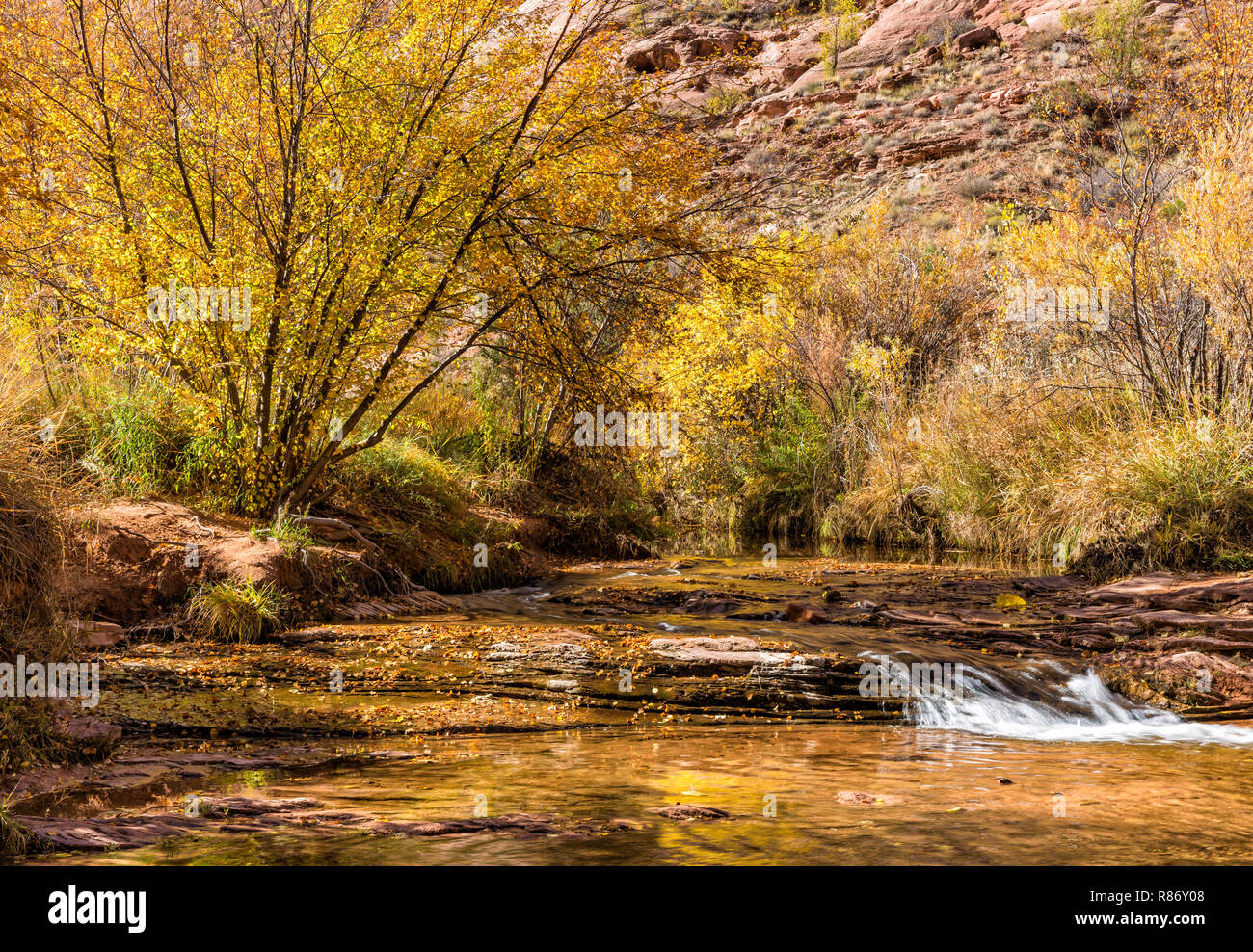A small waterfalls with lots of Autumn color reflected in the stream in ...