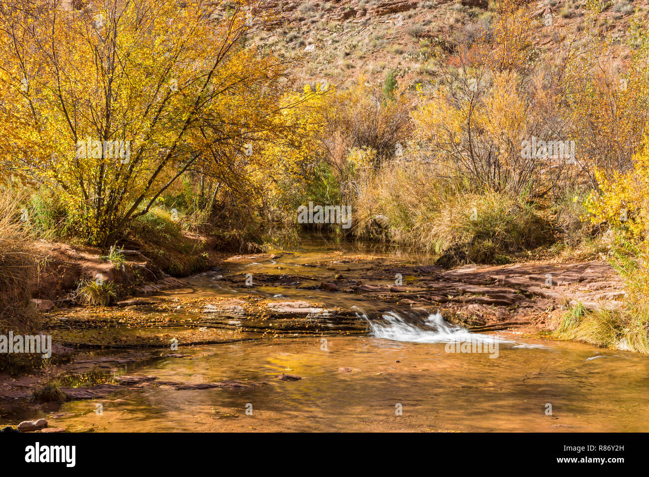 A small waterfalls with lots of Autumn color reflected in the stream in ...