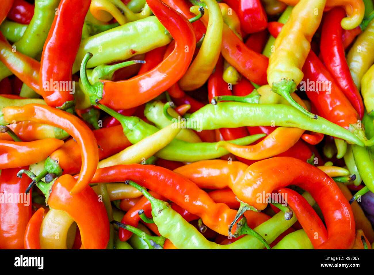 multicolor peppers. hot chili pepper background Stock Photo - Alamy