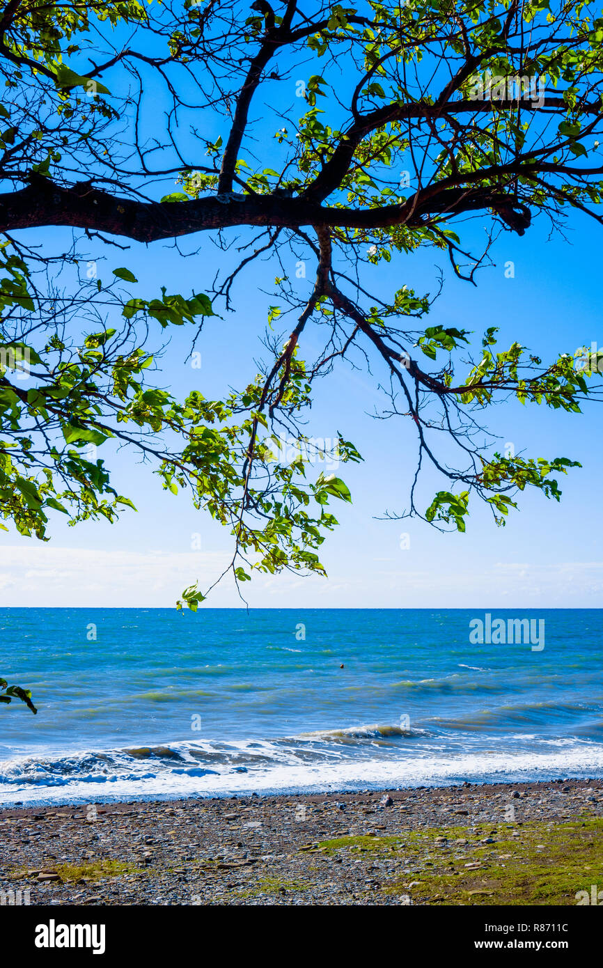 beautiful seascape. natural photo background Stock Photo - Alamy