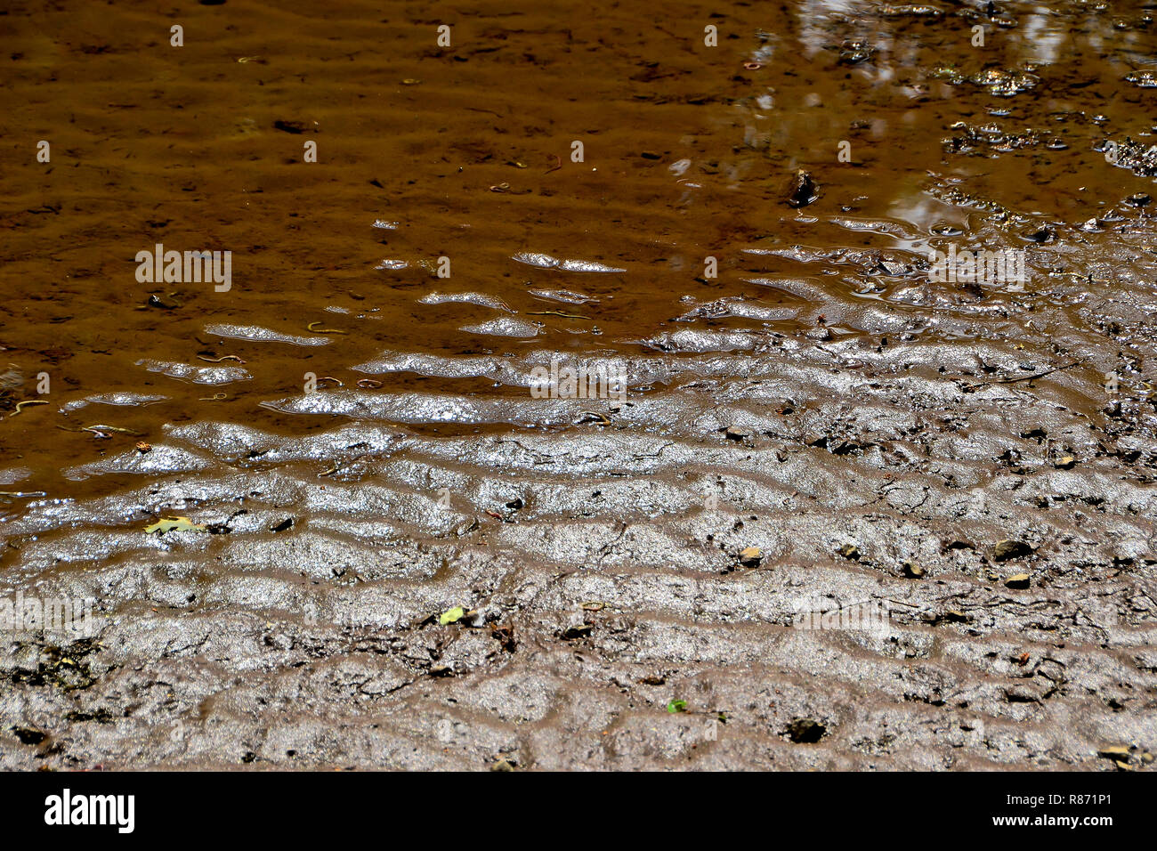 Wavy flood hi-res stock photography and images - Alamy