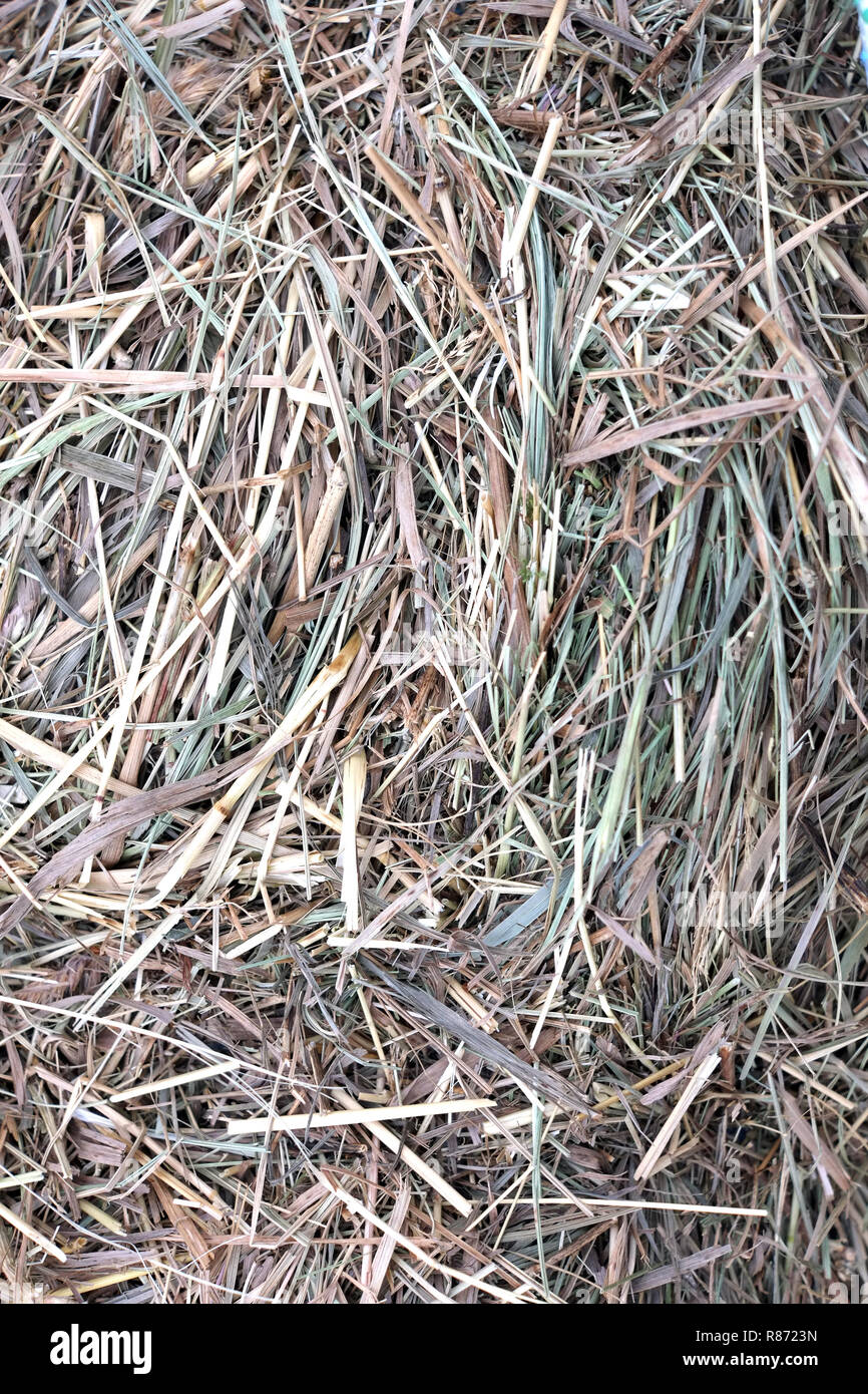 Stack dry hay background hi-res stock photography and images - Alamy