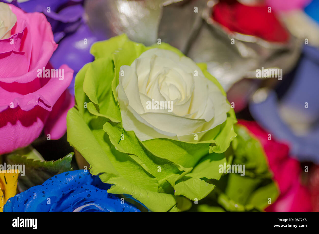 Close up of selective focus of beautiful and colorful different type of ...