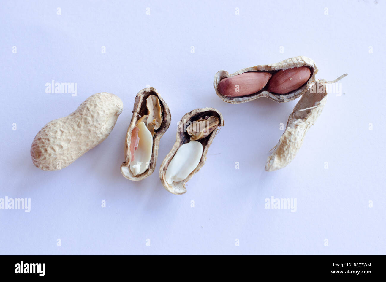 Peanuts on display on white background. One of them cracked with one ...