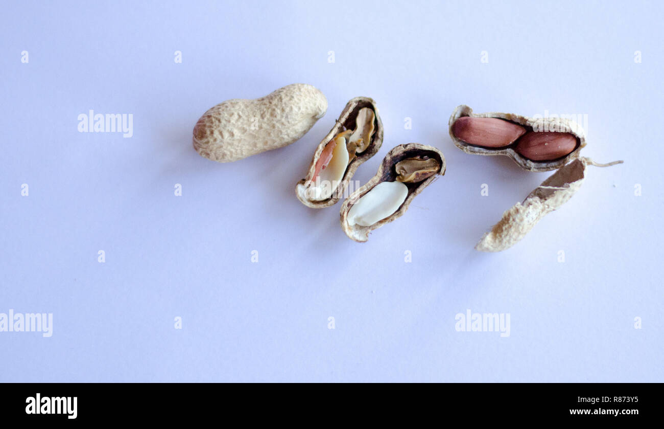 Peanuts on display on white background. One of them cracked with one ...
