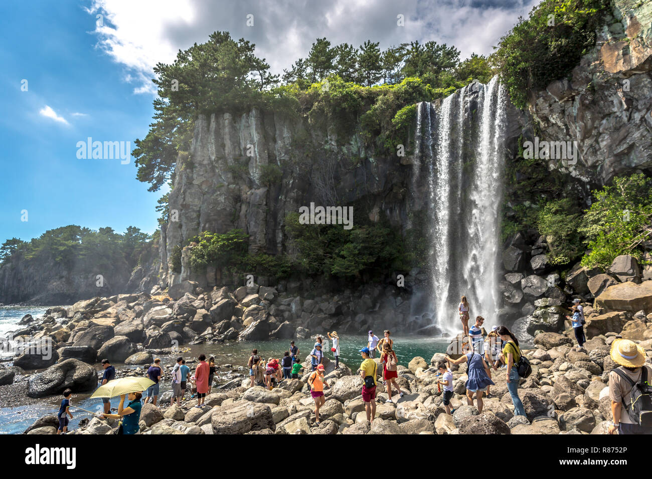 Jeju South Korea People Save Jeju Island 생명평화 강정마을