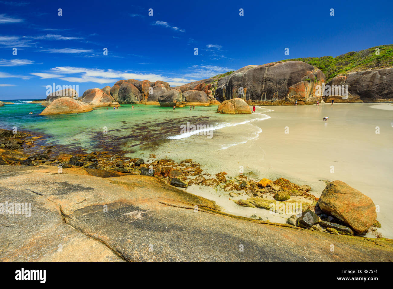 Scenic landscape of Elephant Cove Beach in William Bay National Park ...