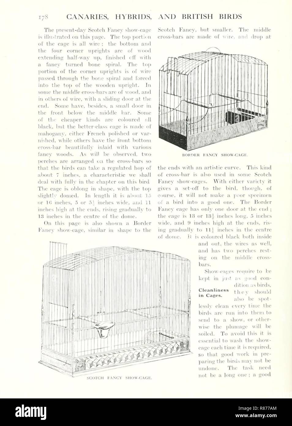 Canaries, hybrids, and British birds in cage and aviary (Page 178 Stock Photo - Alamy