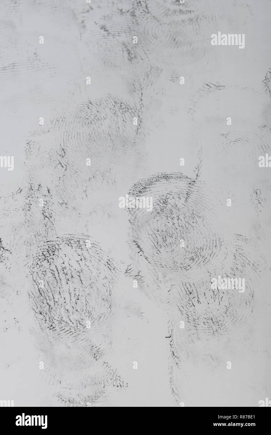 Overlapping and single fingerprints on glass as an indicator of ...