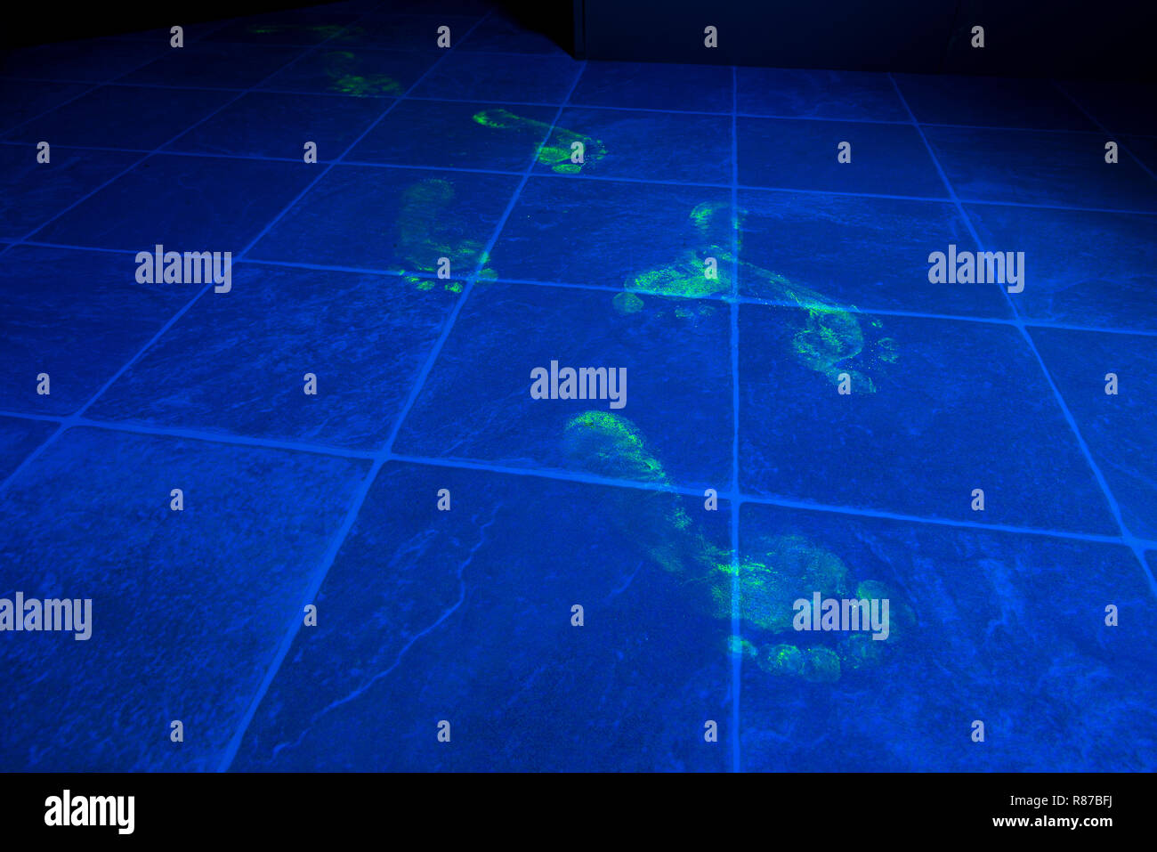 Footprint trail showing up on floor with forensic fluorescent powder ...
