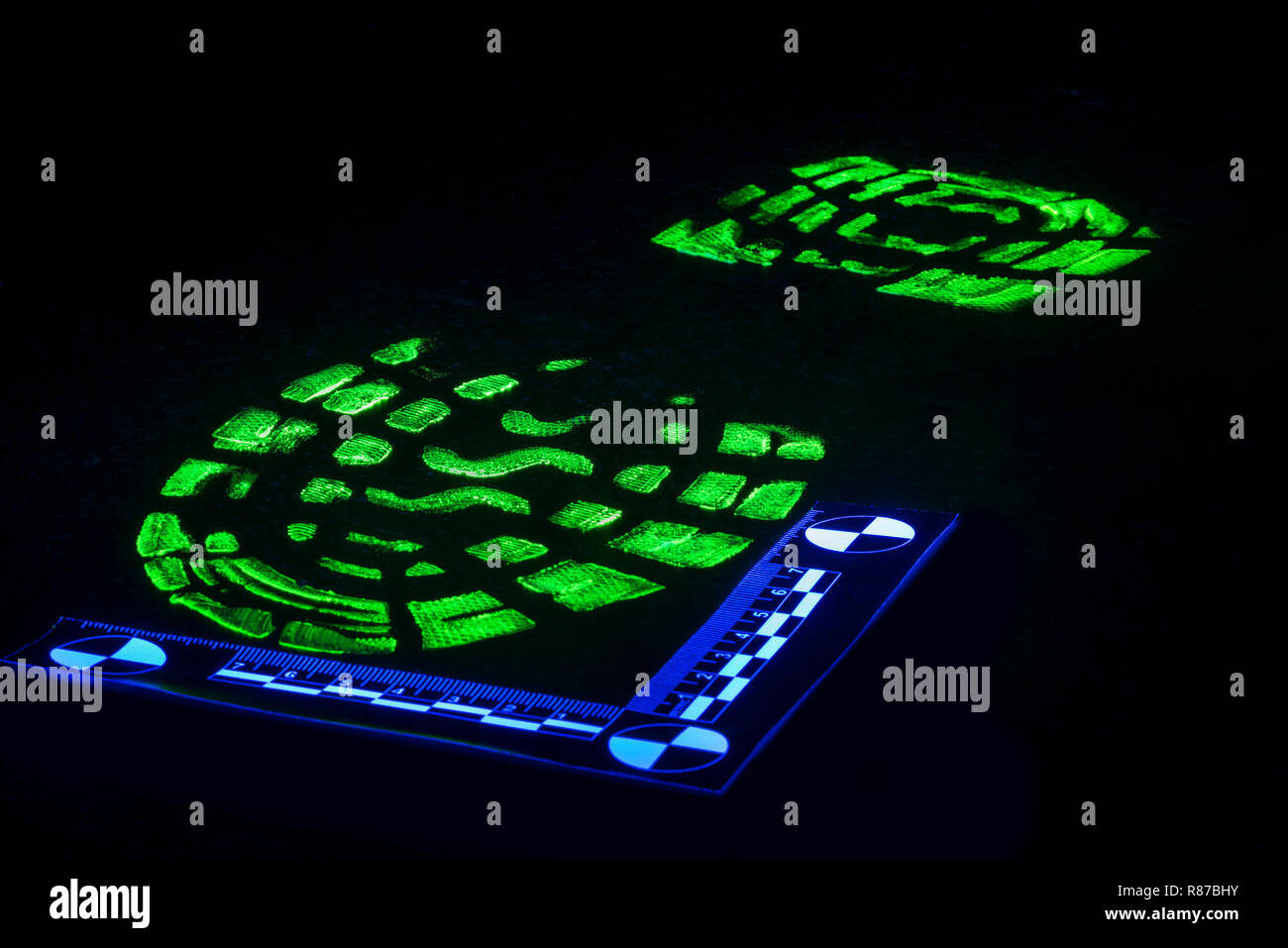 Crime scene evidence footprint hi-res stock photography and images - Alamy