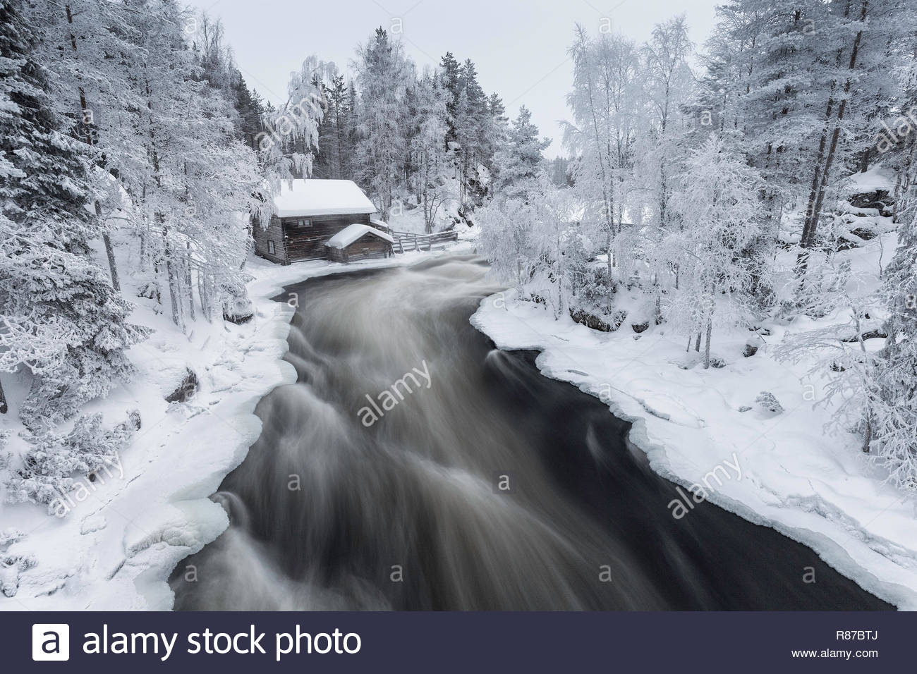 Kitka Stock Photos & Kitka Stock Images - Alamy